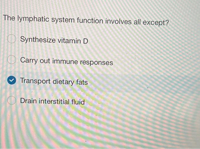 Solved The lymphatic system function involves all except? | Chegg.com
