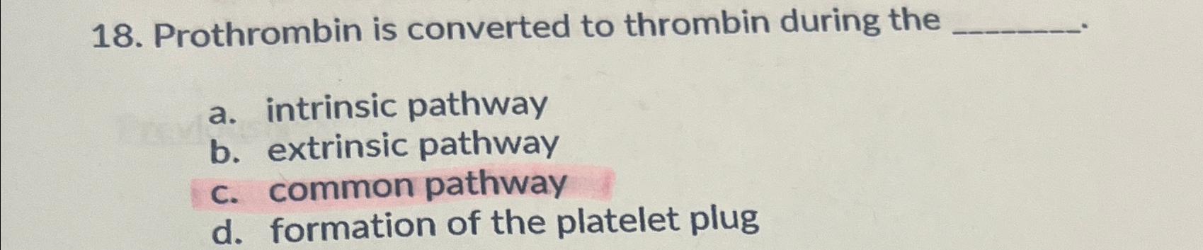 Solved Prothrombin is converted to thrombin during thea. | Chegg.com