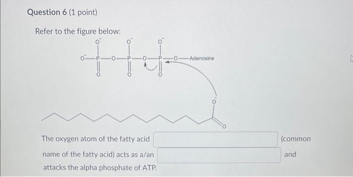 Solved Refer to the figure below: The oxygen atom of the | Chegg.com