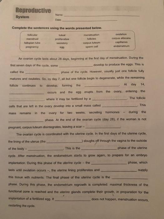 Solved Complete the sentences using the words presented | Chegg.com