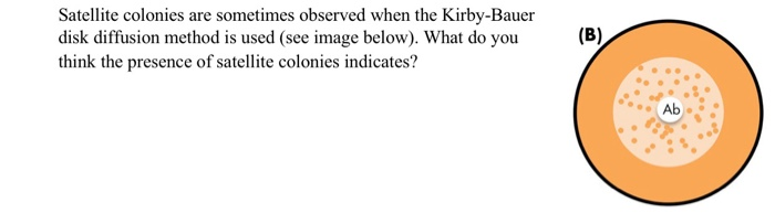 Solved Satellite colonies are sometimes observed when the | Chegg.com
