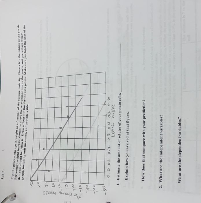 Solved Plot the percent change in weight as a function of | Chegg.com