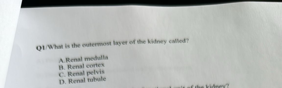 Solved Q1/What is the outermost layer of the kidney | Chegg.com