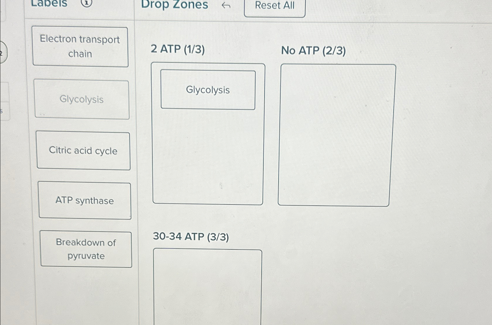 Solved 2 ﻿ATP (1/3)No ATP (2/3)Citric acid cycleATP | Chegg.com