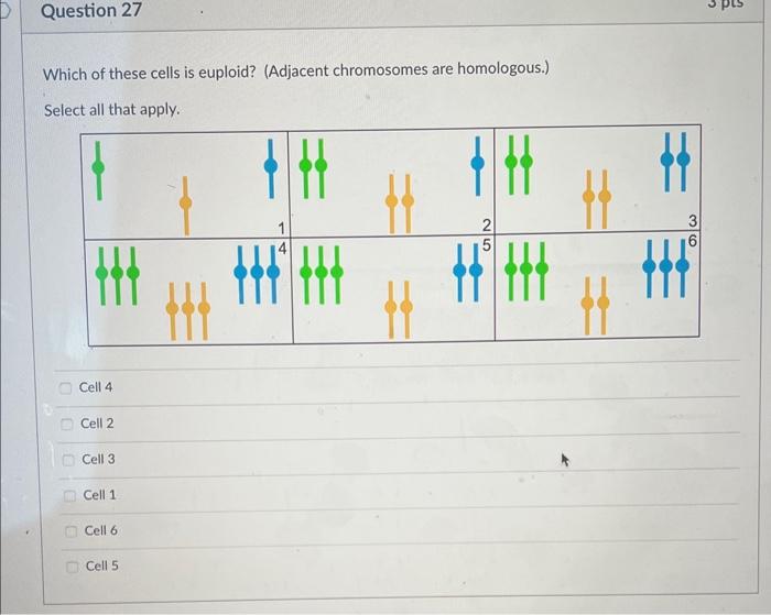 Solved Which of these cells is euploid? (Adjacent | Chegg.com