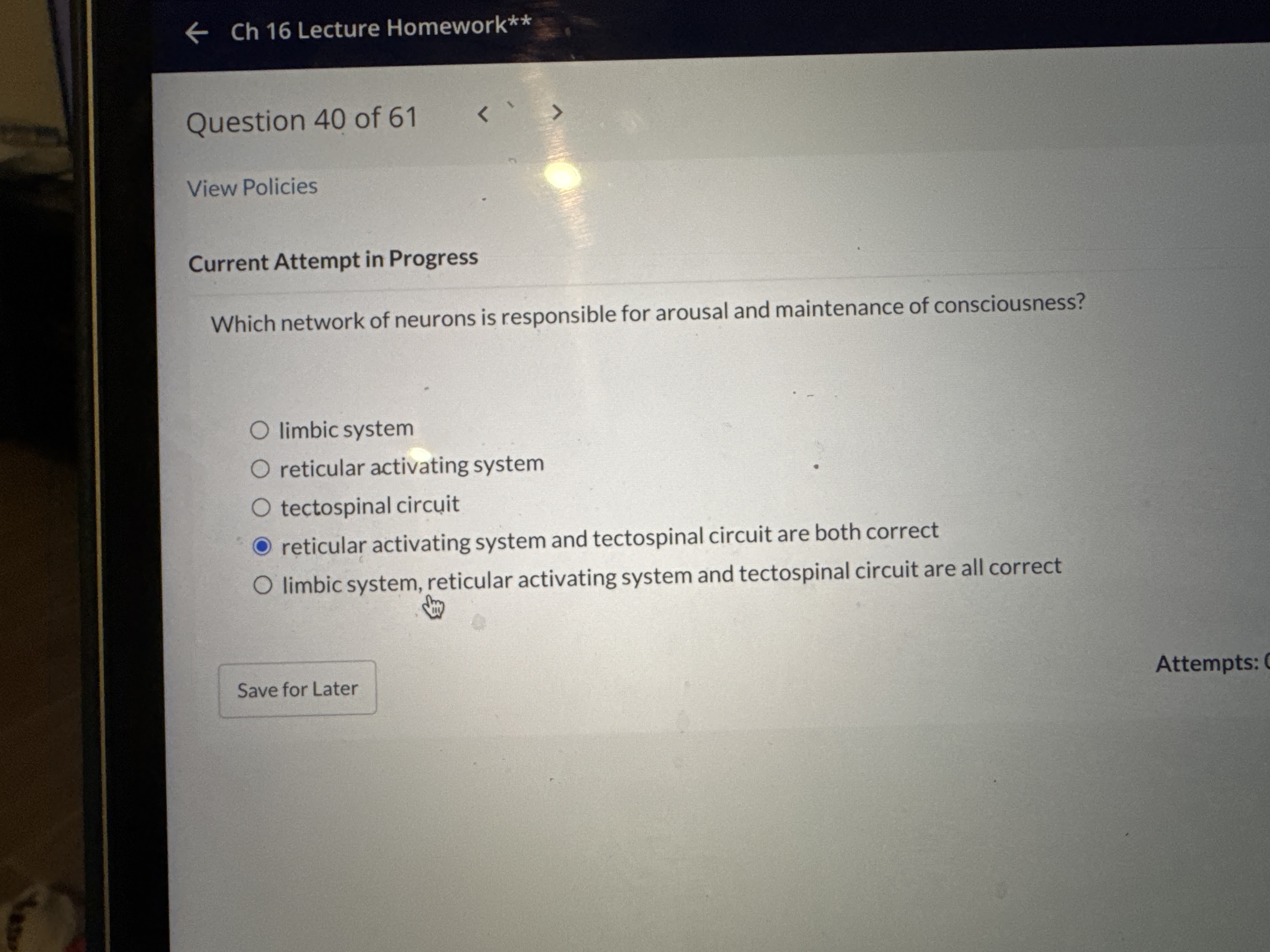 Solved Current Attempt in ProgressWhich network of neurons | Chegg.com