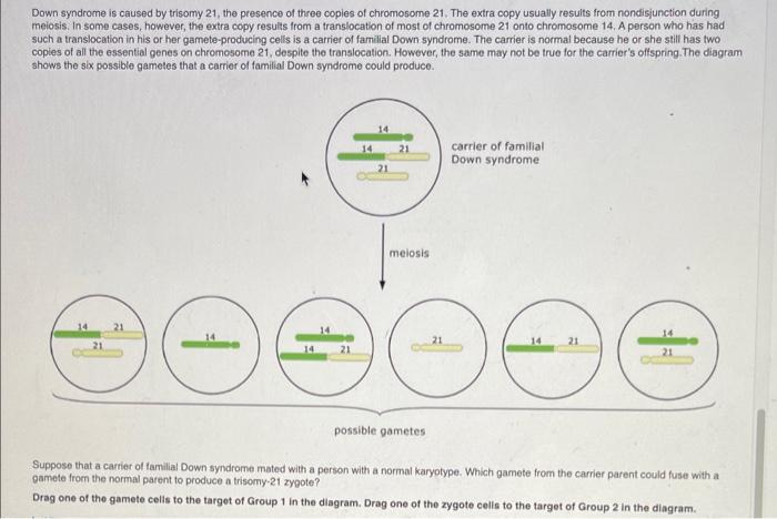 Solved Down syndrome is caused by trisomy 21, the presence | Chegg.com