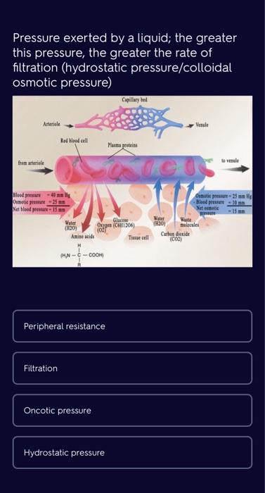 Solved Pressure exerted by a liquid; the greater this | Chegg.com