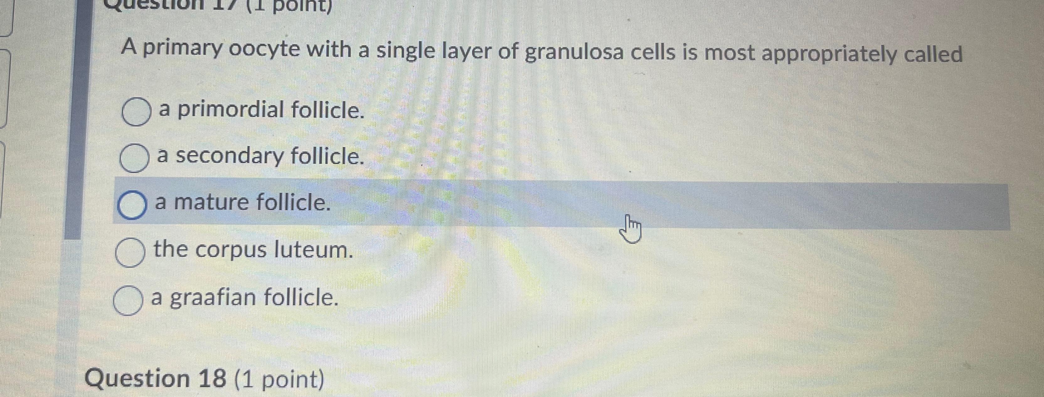 Solved A primary oocyte with a single layer of granulosa | Chegg.com