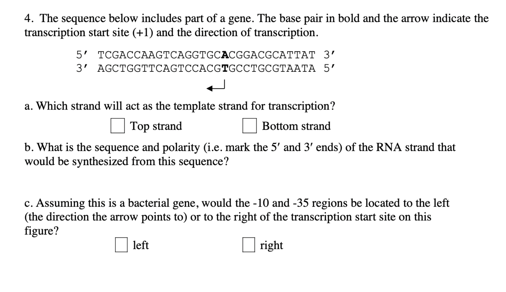 Solved The sequence below includes part of a gene. The base | Chegg.com