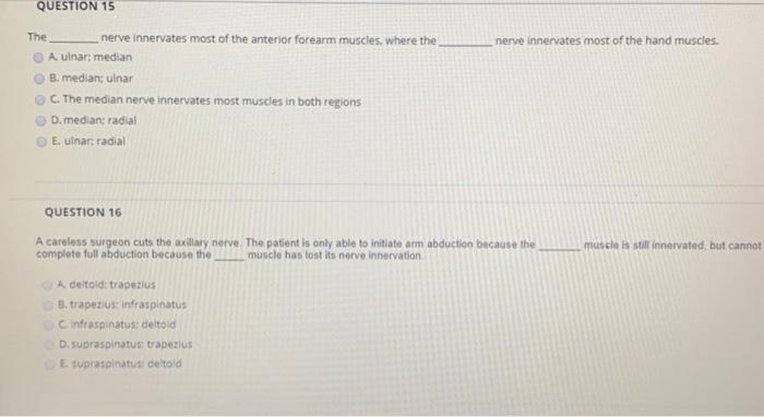 Solved nerve innervates most of the hand muscles QUESTION 15 | Chegg.com Solved nerve innervates most of the hand muscles QUESTION 15 | Chegg.com