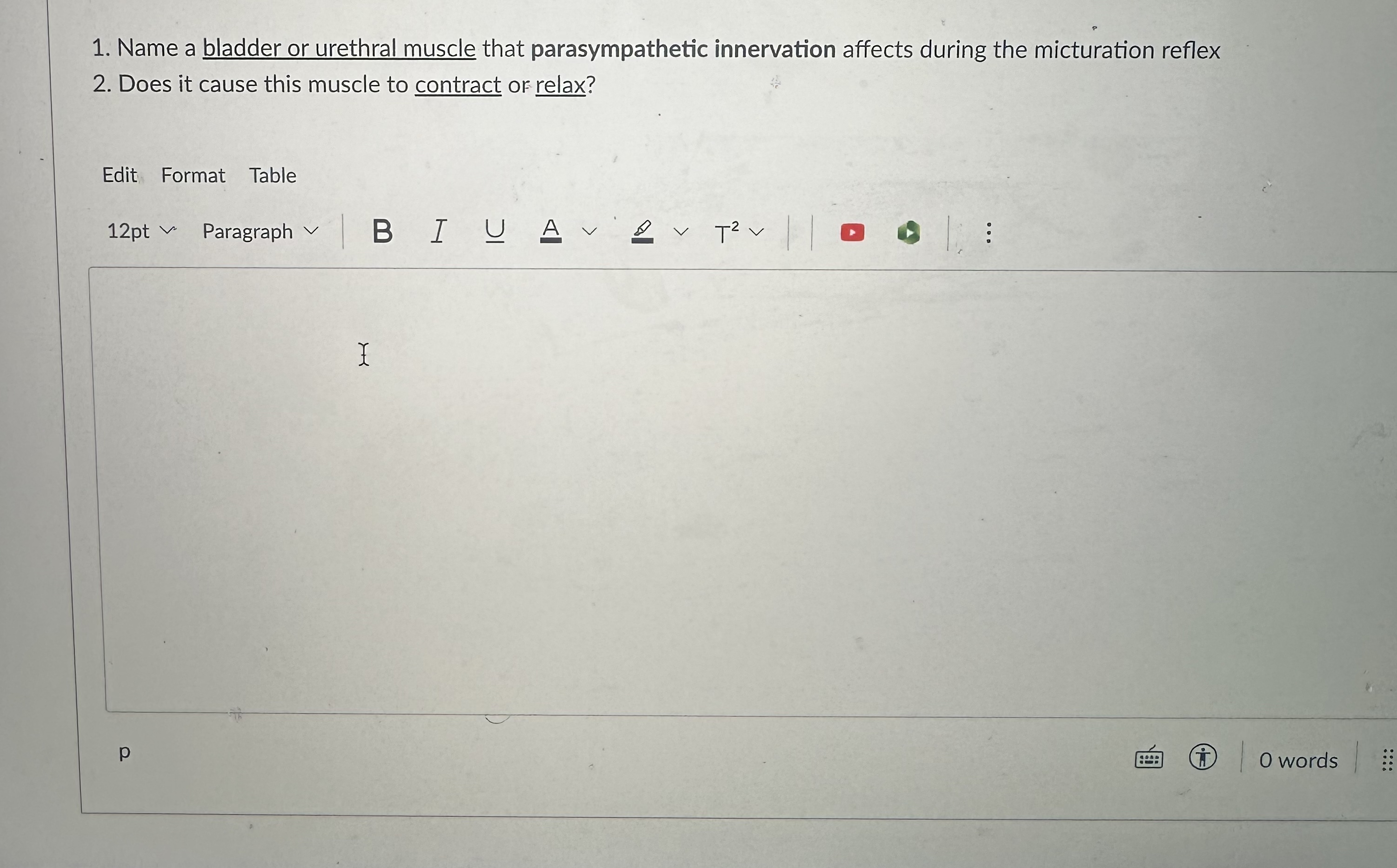 Solved Name a bladder or urethral muscle that | Chegg.com