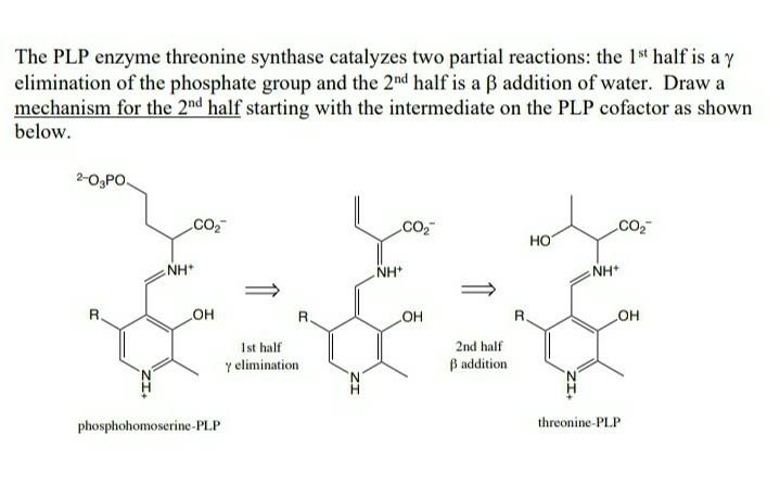 Solved The PLP enzyme threonine synthase catalyzes two | Chegg.com
