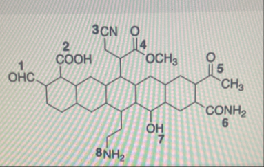 Solved Use the pull-down menus to identify the functional | Chegg.com