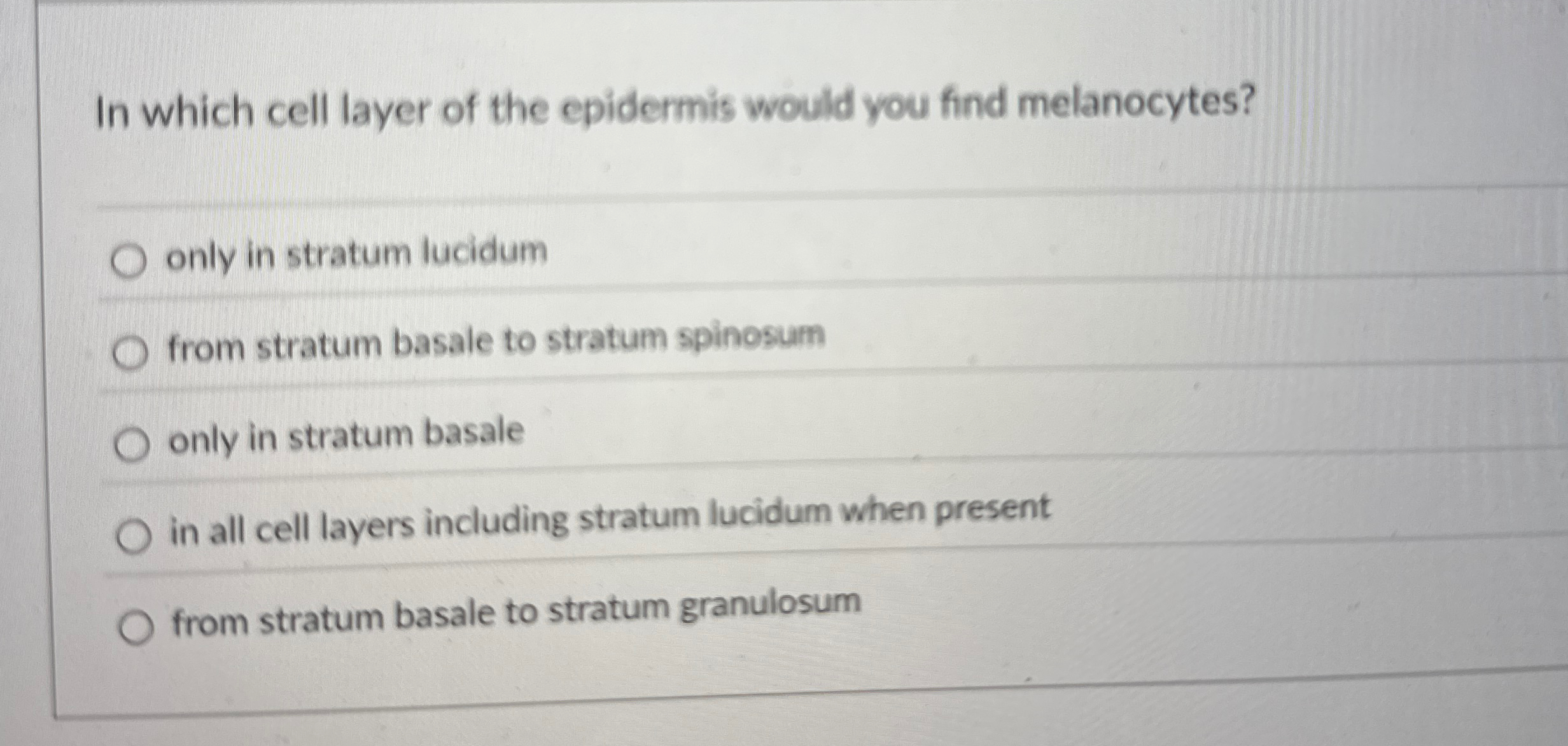 Solved In which cell layer of the epidermis would you find | Chegg.com