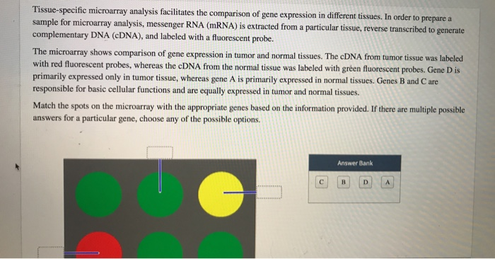 Solved Tissue-specific microarray analysis facilitates the | Chegg.com