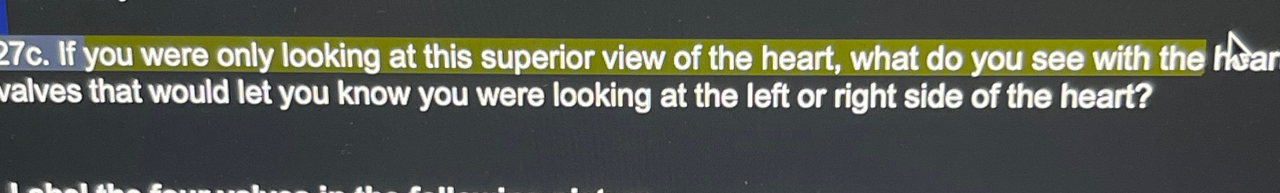 Solved 27c. ﻿If you were only looking at this superior view | Chegg.com