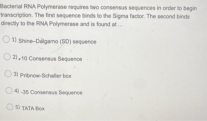 Solved Bacterial RNA polymerase requires two consensus | Chegg.com