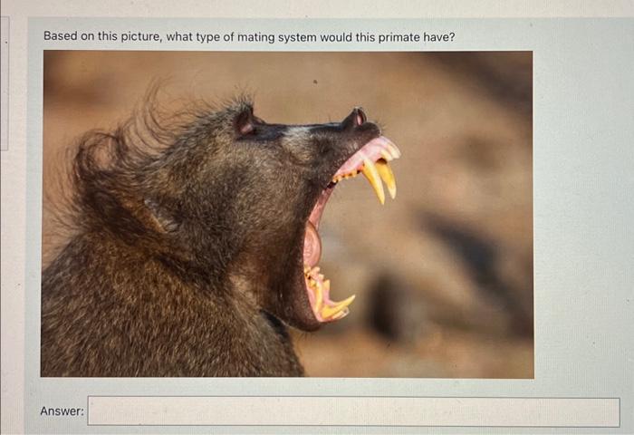 Based on this picture, what type of mating system | Chegg.com