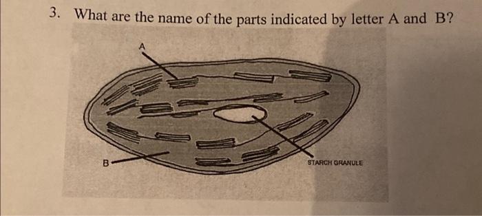 Solved 3. What are the name of the parts indicated by letter | Chegg.com