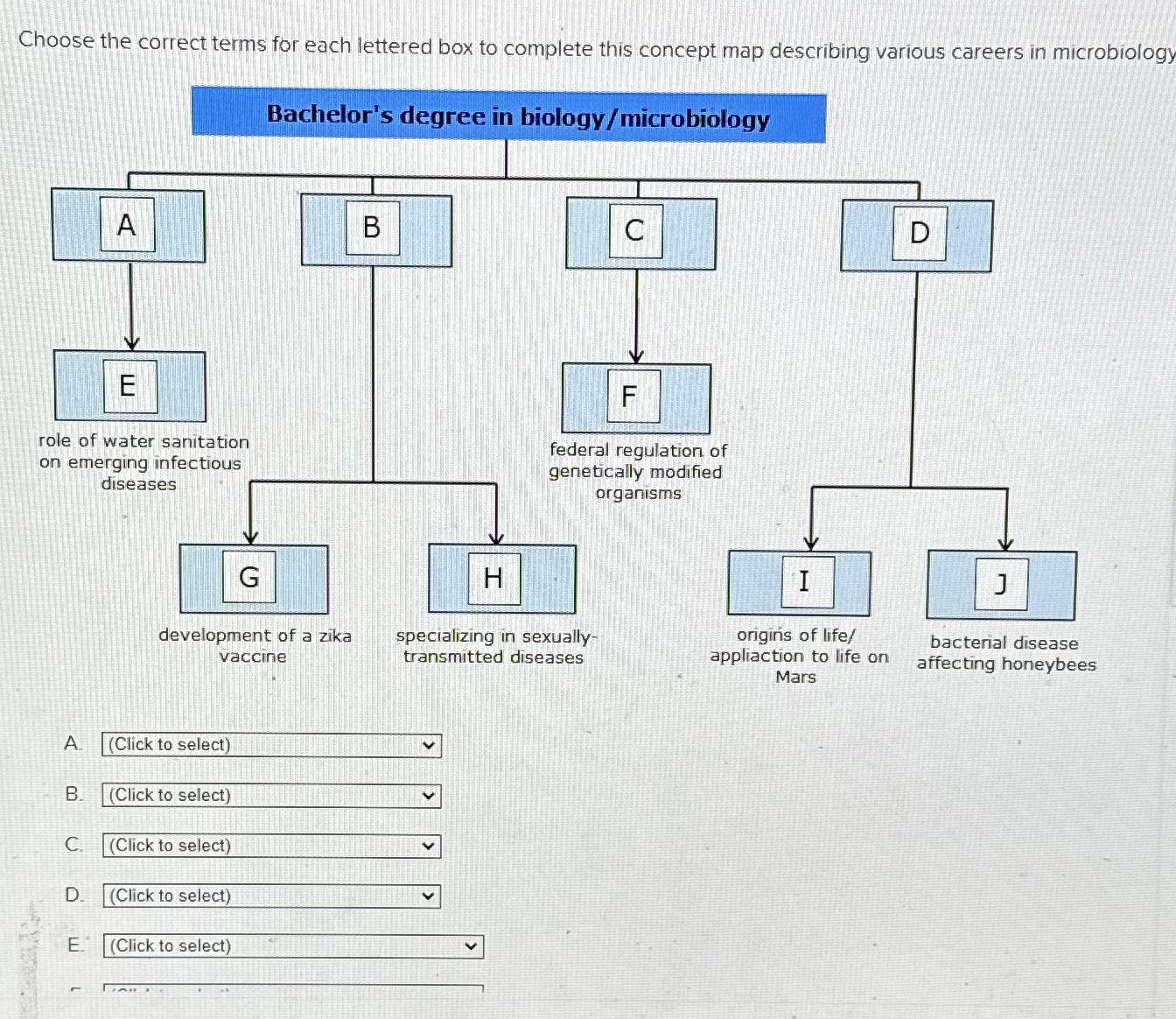 Solved Choose the correct terms for each lettered box to | Chegg.com Solved Choose the correct terms for each lettered box to | Chegg.com