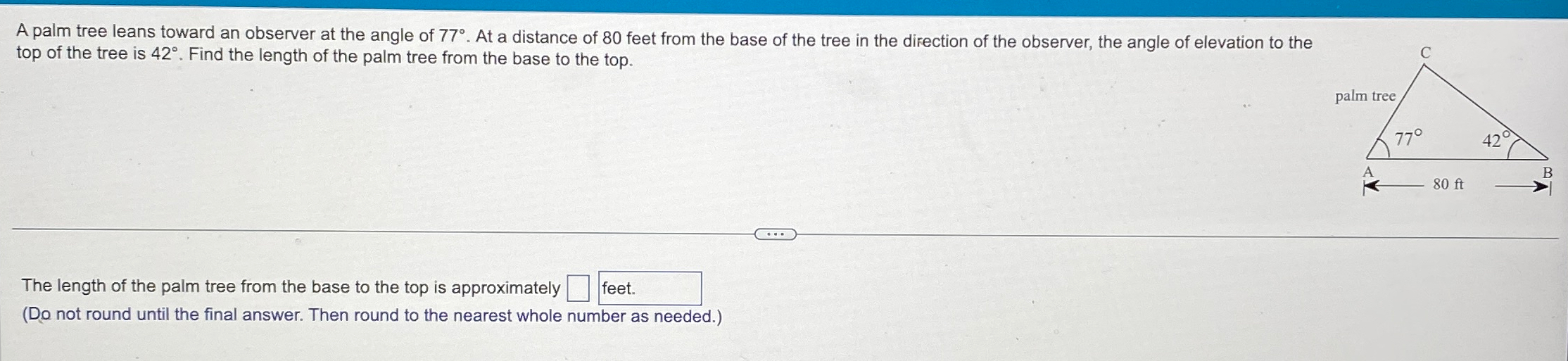 A palm tree leans toward an observer at the angle of | Chegg.com