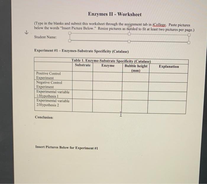 Enzymes II - Worksheet (Type in the blanks and submit | Chegg.com