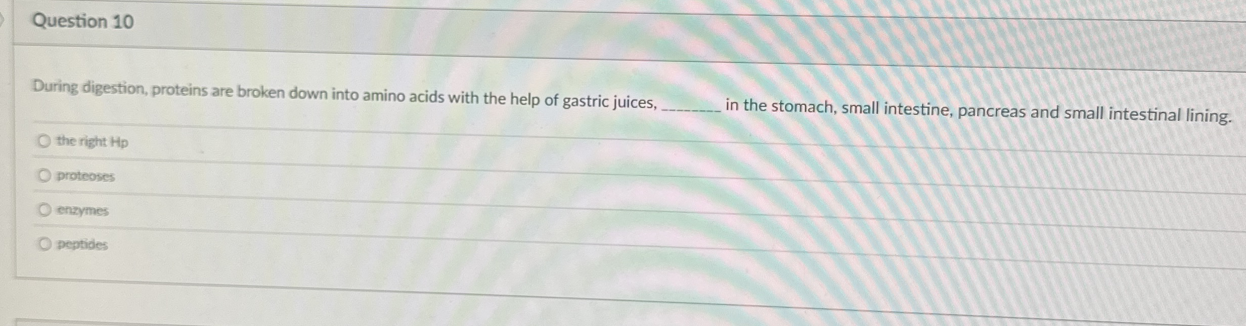 Solved Question 10During digestion, proteins are broken down | Chegg.com