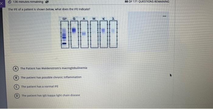 Solved The IFE of a patient is shown below, what does the | Chegg.com