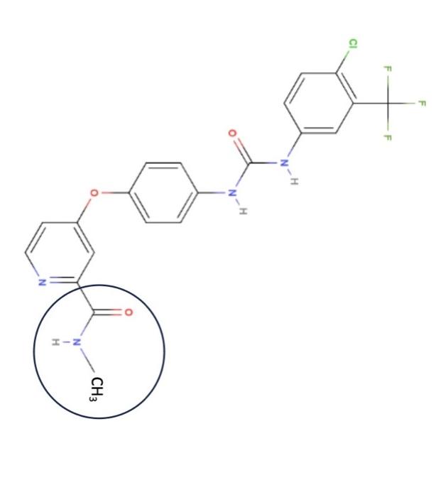 Solved Below is the structure for sorafenib | Chegg.com