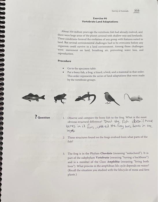Solved Survey of Animals 333 Exercise 16 Vertebrate Land | Chegg.com