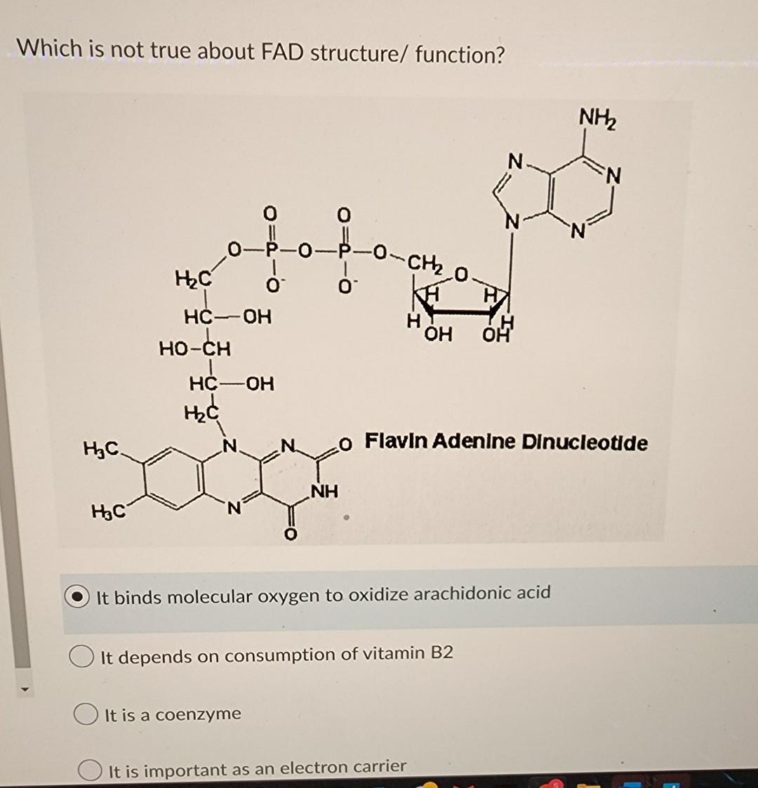 Solved Which is not true about FAD structure/ function? It | Chegg.com