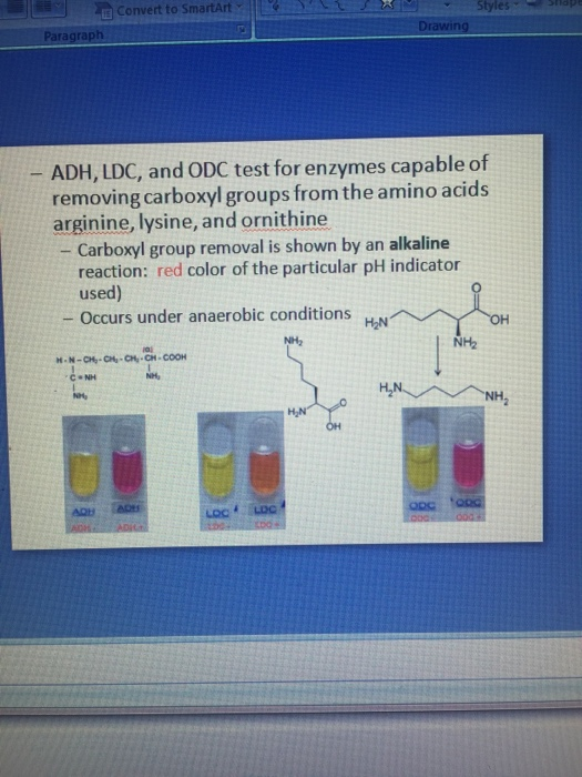 Exercise 8 Use Of The Api 20e System To Identify Gram