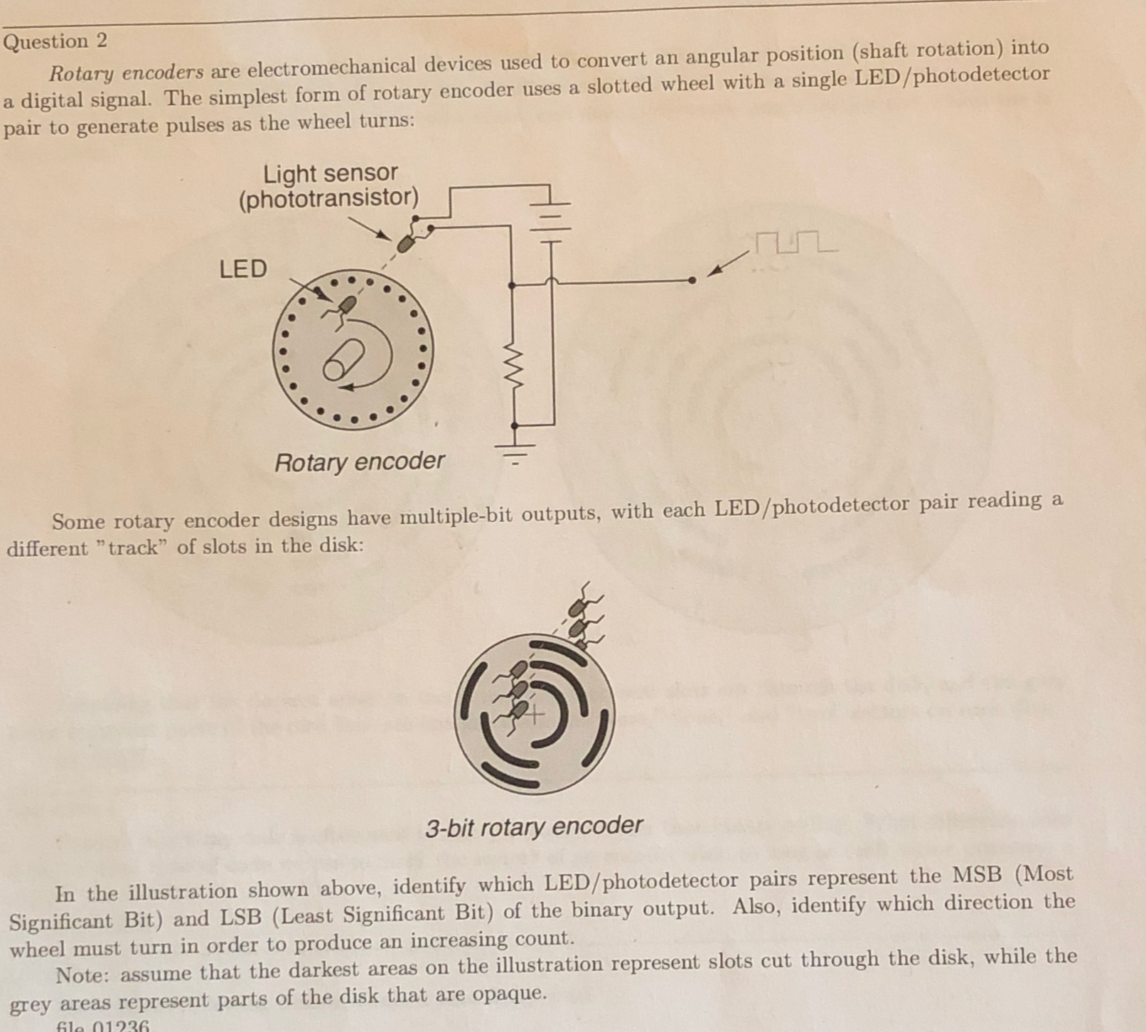 Solved In the illustration shown above, identify which | Chegg.com