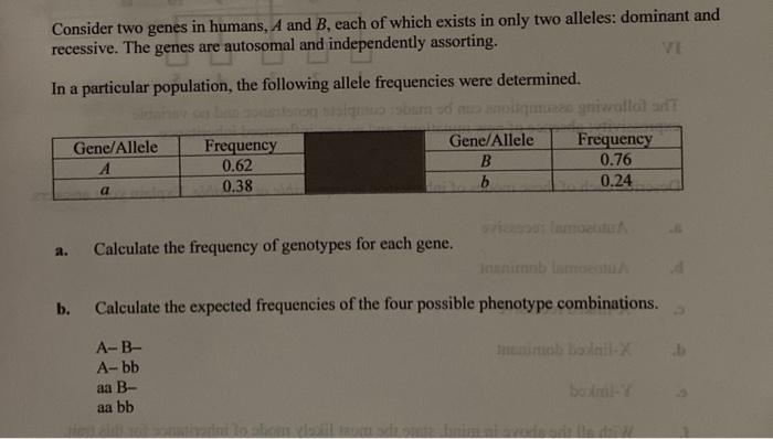 Solved Consider two genes in humans, A and B, each of which | Chegg.com