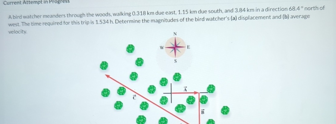 Solved A bird watcher meanders through the woods, walking | Chegg.com