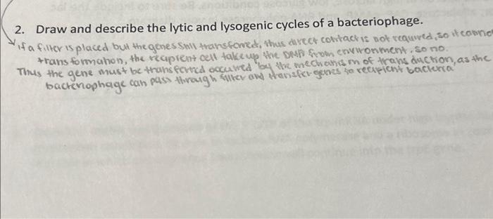 Solved please ignore fhe written part. but help me draw and | Chegg.com Solved please ignore fhe written part. but help me draw and | Chegg.com