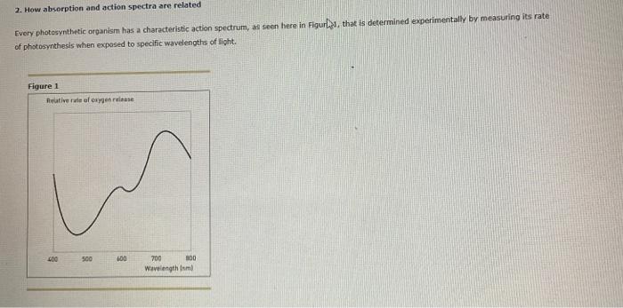 Solved 2. How absorption and action spectra arce felated | Chegg.com
