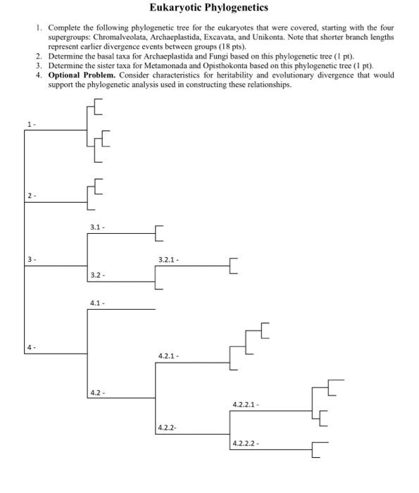 1. Complete the following phylogenetic tree for the | Chegg.com