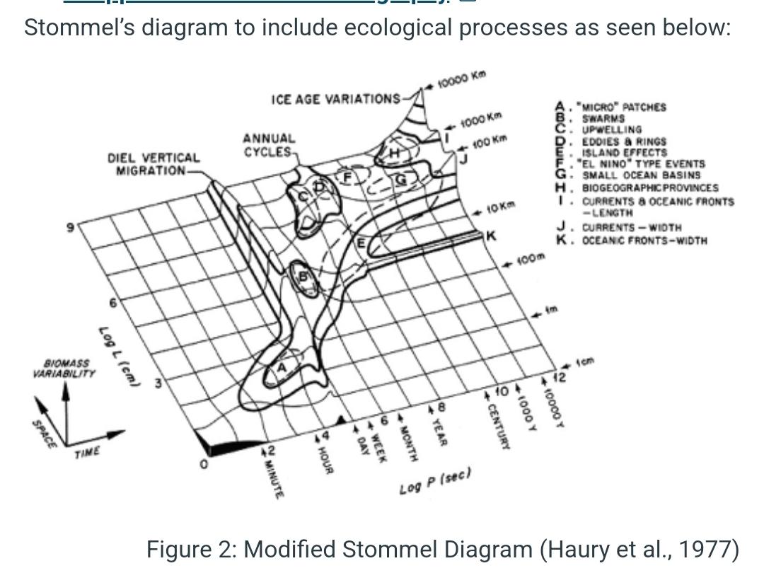 Solved Describe how “micro” ﻿patches (shown as “A” ﻿in the | Chegg.com
