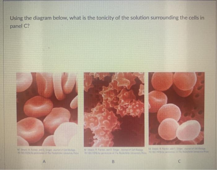 Solved Using the diagram below, what is the tonicity of the | Chegg.com