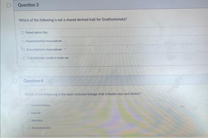 Solved Which of the following is not a shared derived trait | Chegg.com
