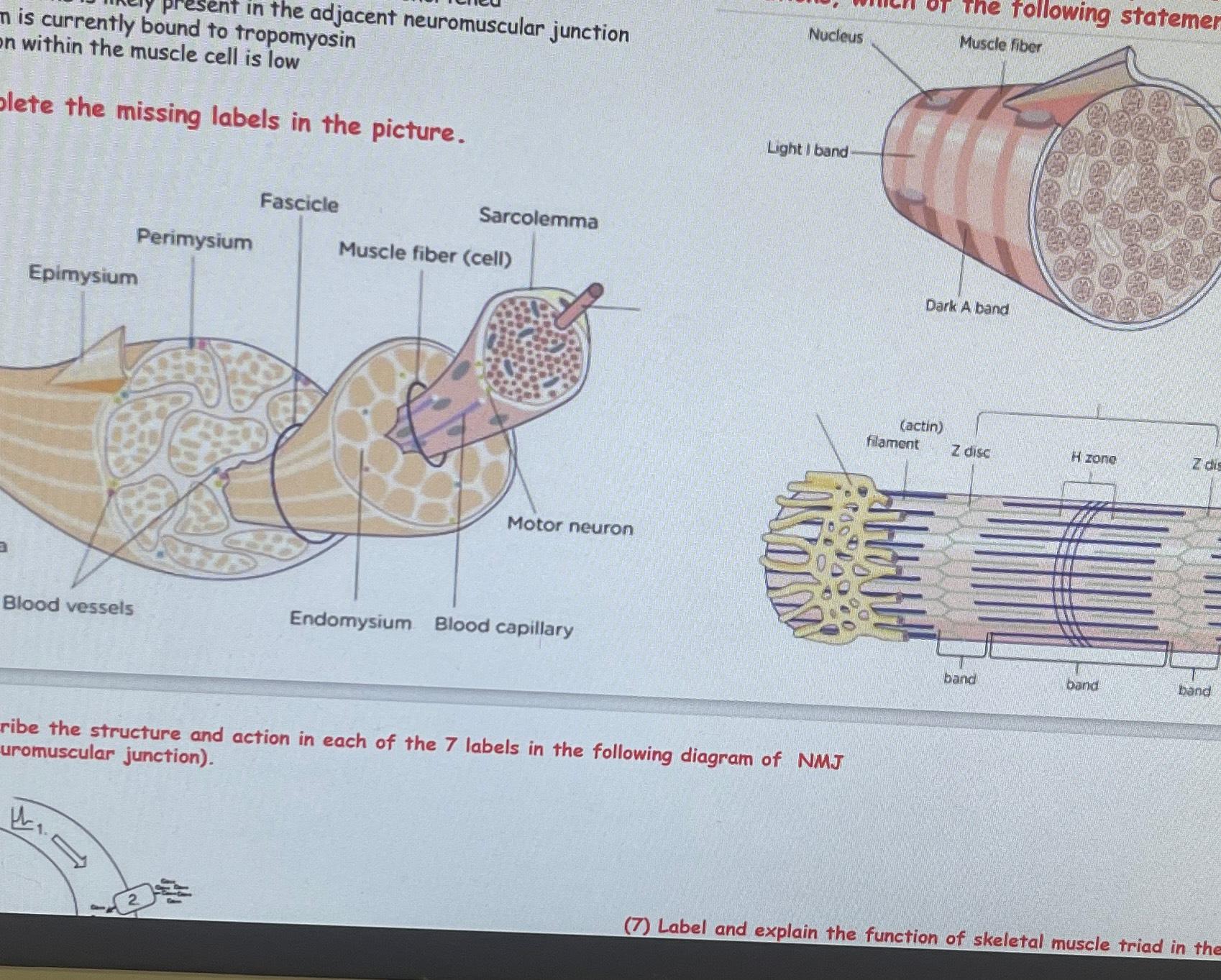 Solved n ﻿is currently bound to in the adjacent | Chegg.com