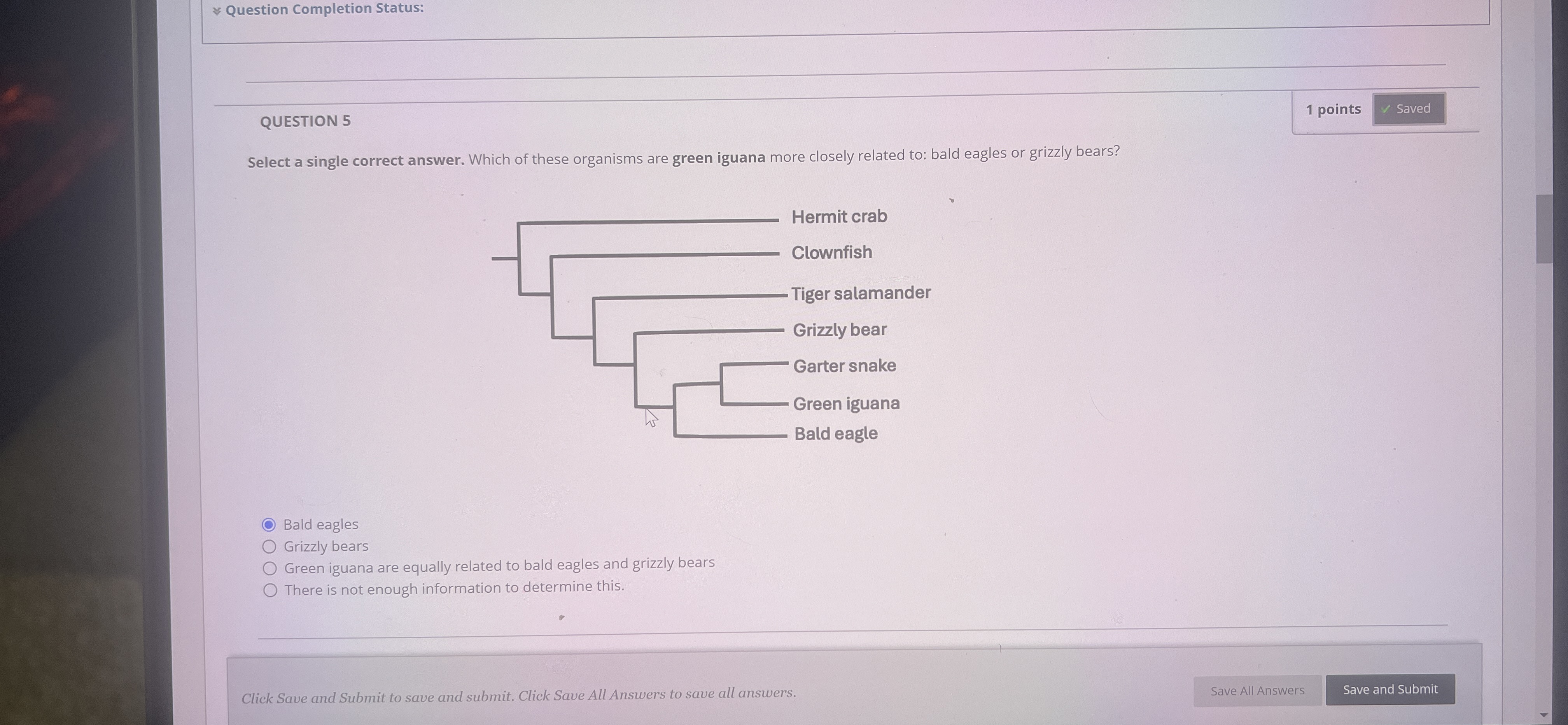 Solved Question Completion Status:q,QUESTION 51 | Chegg.com