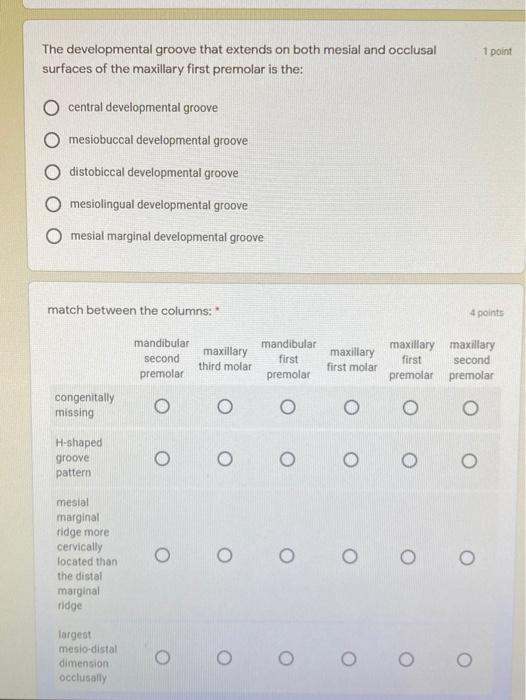 Solved 1 point The developmental groove that extends on both | Chegg.com