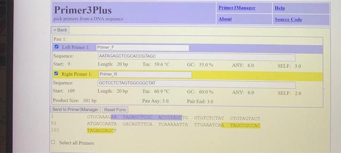 Solved Primer Manager Help Primer3 Plus piek primers from a | Chegg.com