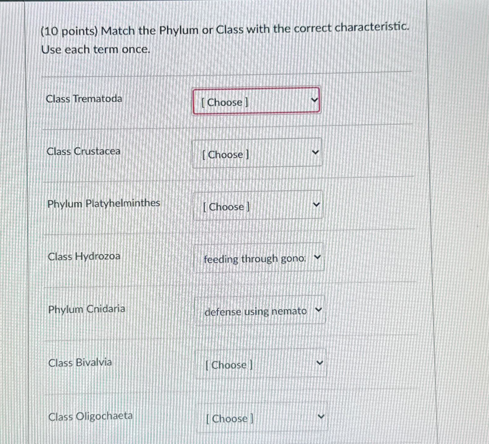 Solved (10 ﻿points) ﻿Match the Phylum or Class with the | Chegg.com