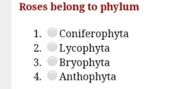 Solved Roses belong to phylum 1. Coniferophyta 2. Lycophyta | Chegg.com