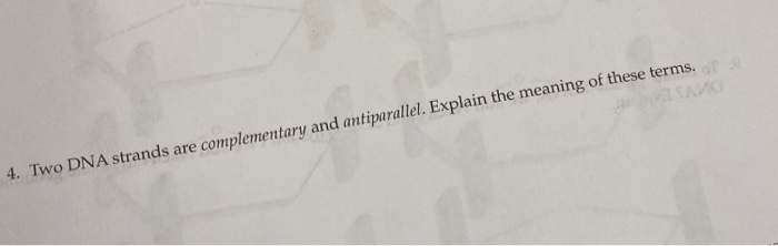 Solved 4. Two DNA strands are complementary and | Chegg.com