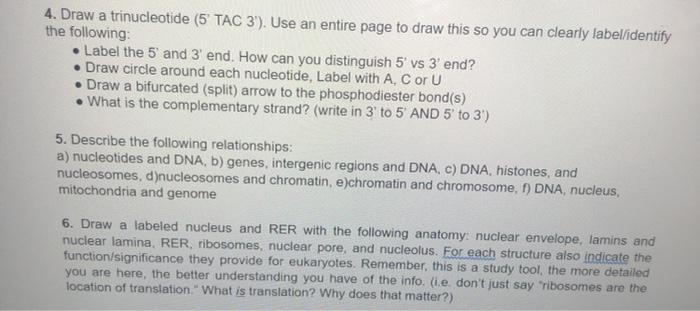Solved 4. Draw a trinucleotide (5 TAC 3"). Use an entire | Chegg.com